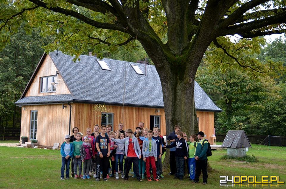 Dąb Dzidek wśród 16 najpiękniejszych drzew w Polsce - Wiadomości