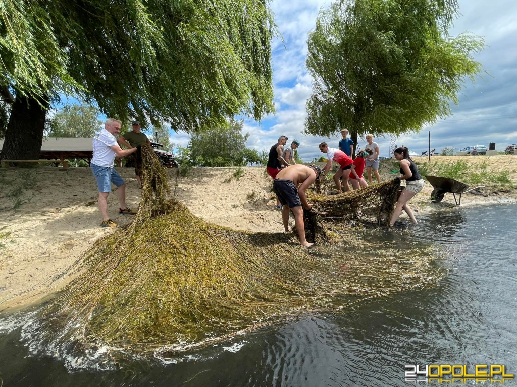 Społecznicy oczyścili jezioro Malina z moczarki. Jest bezpieczniej ...