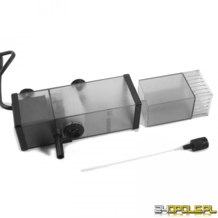 Skimmer do akwarium - czym jest, jak działa? - Wiadomości