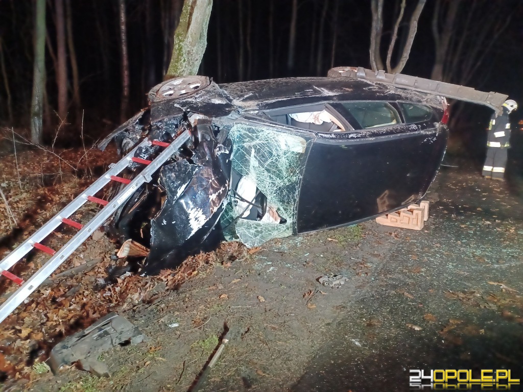 Samochód zderzył się z dzikiem. Trzy osoby zostały poszkodowane - Wiadomości