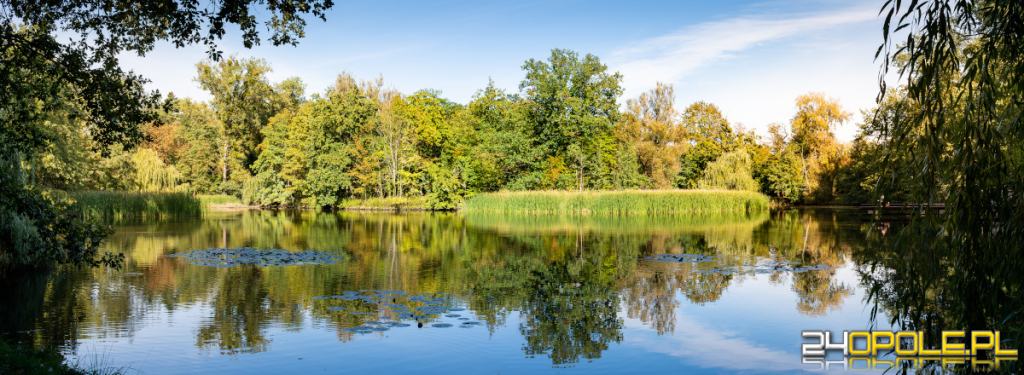 Wyspa Bolko w Opolu - zielony zakątek w sercu miasta - Wiadomości