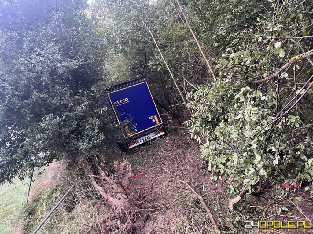 Ciężarówka jechała autostradą, wypadła z jezdni i wjechała do lasu - Wiadomości